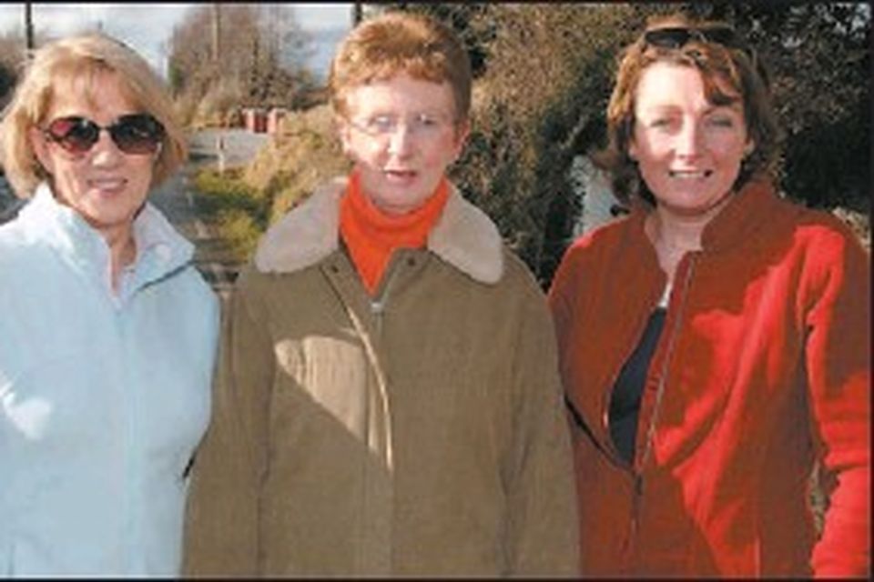 Brosna | Irish Independent