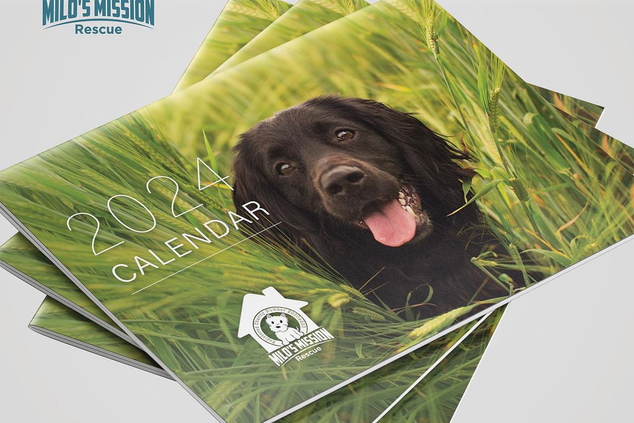 5 Wicklow charity calendars that make great Christmas gifts | Irish ...