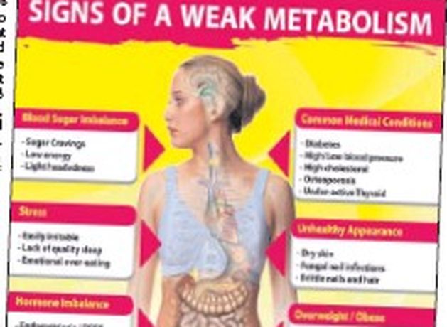 Lose two stone in 10 Weeks! | Irish Independent