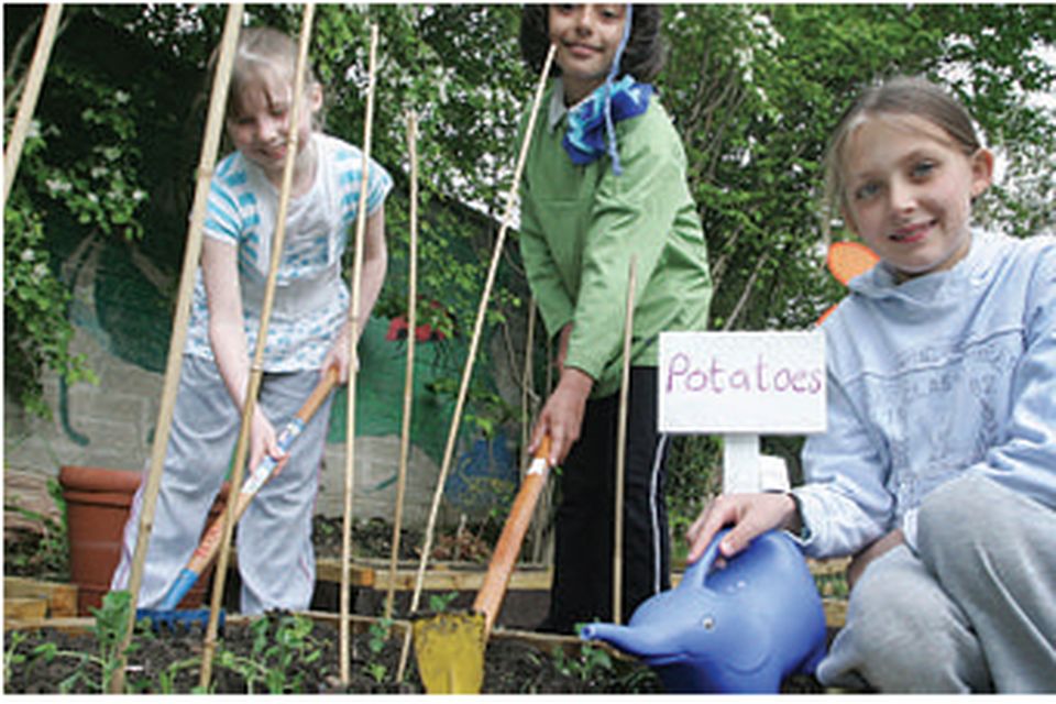 Young Gardeners getting back to nature | Irish Independent