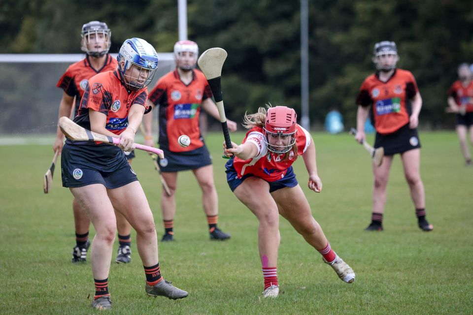 Dedicated Johnson in flying form for victorious St John’s | Irish ...
