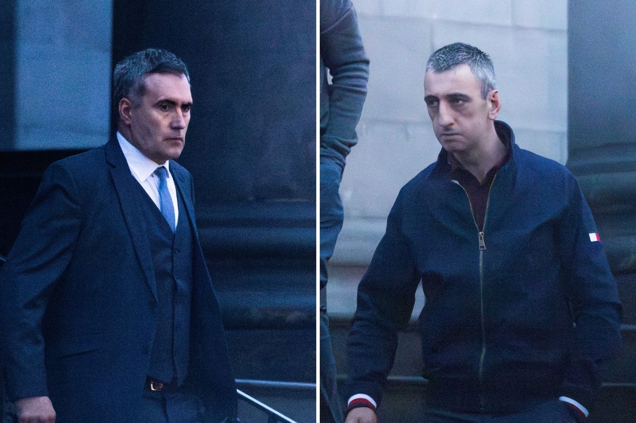 ‘Model citizen’ who bit off part of brother’s ear in row over ‘land ...