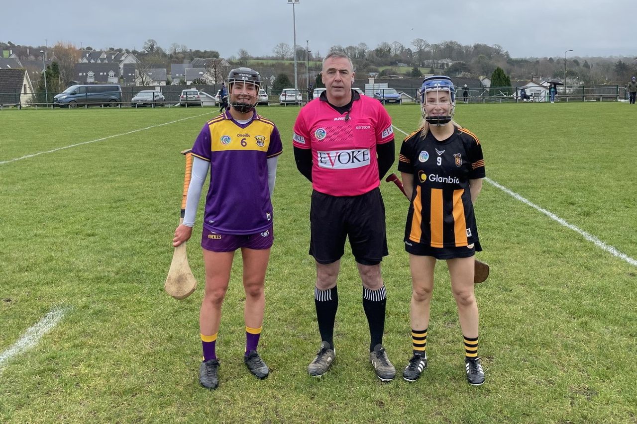 Late Hunt goals seal Wexford camogie success against Kilkenny | Irish ...