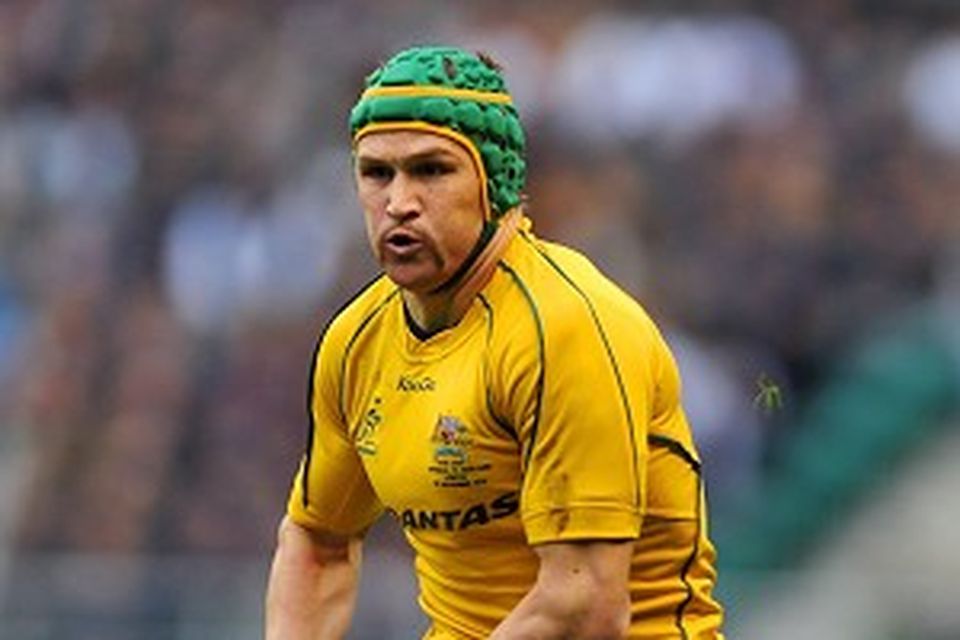 Giteau hints at World Cup omission | Irish Independent