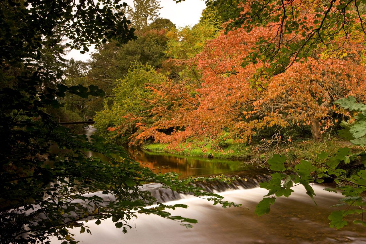 Diarmuid Gavin: Here’s where I think are the best spots in Ireland to ...