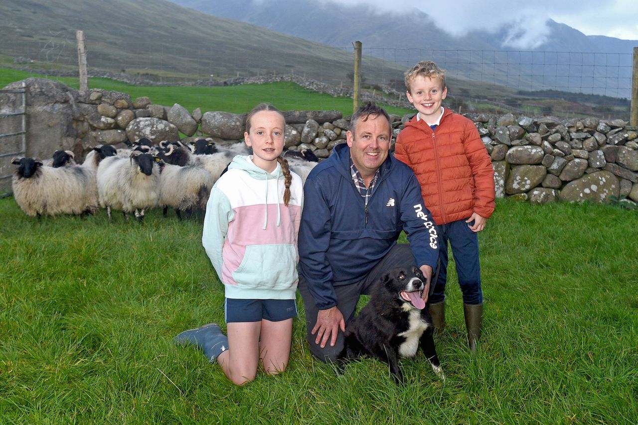 Budget 2024 Ireland: Extra ewe payment helps, but Budget goes ‘nowhere ...