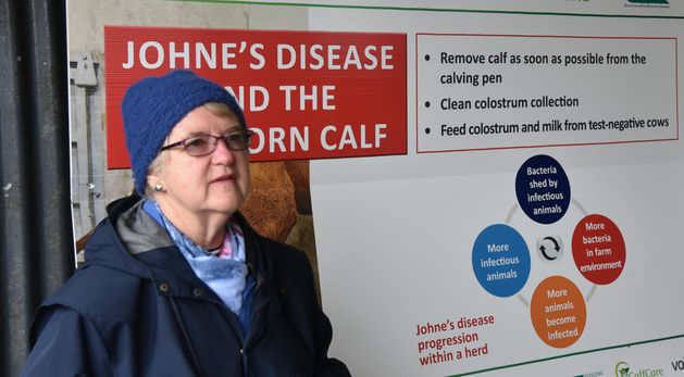 Warning for farmers as Johne's disease continues to spread at an ...