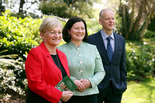 Coillte reveal plan for 100,000 hectares of new Irish forests | Irish ...