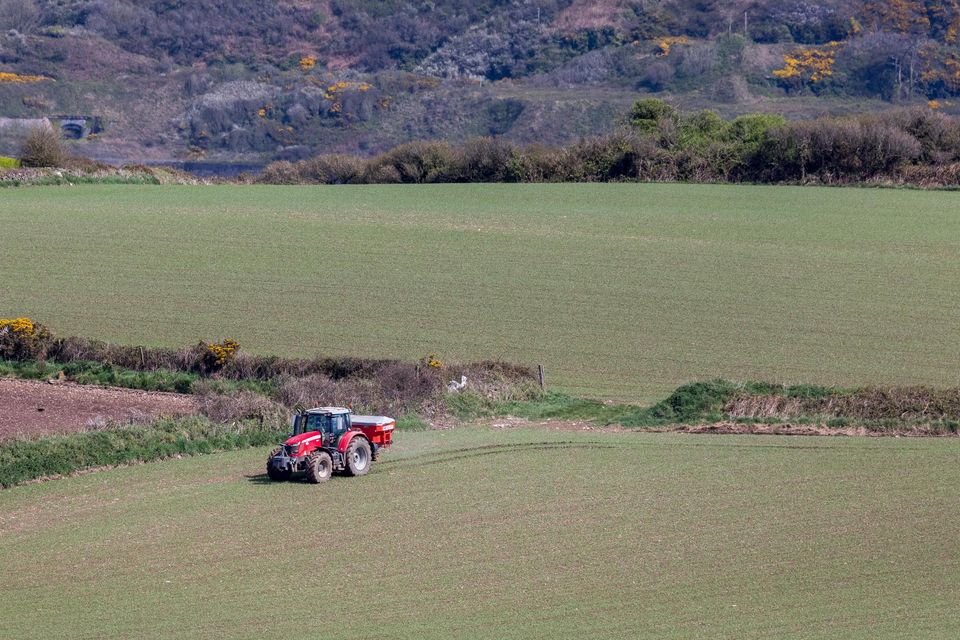 Soil fertility declining on Irish farms | Irish Independent