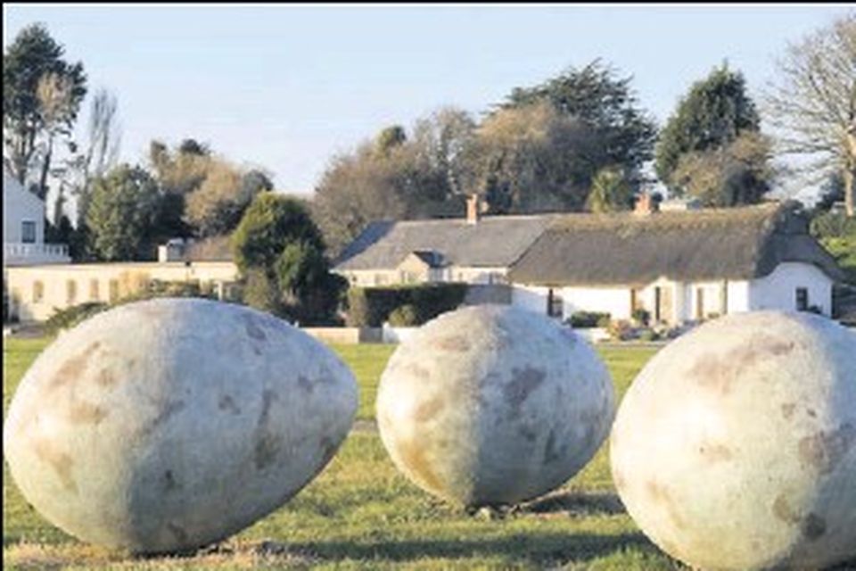 Baltray egg sculpture in LAMA awards | Irish Independent