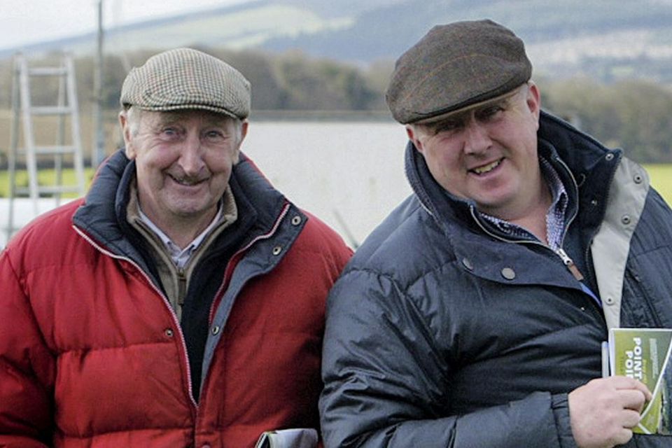 Around the Districts: Carnew, Kiltegan, Knockananna and Tinahely ...