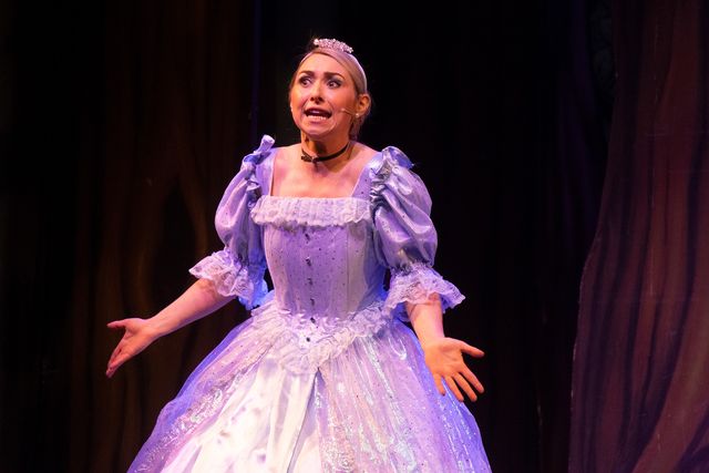 Wexford Pantomime Society’s ‘Rapunzel and the League of Princesses’ is ...