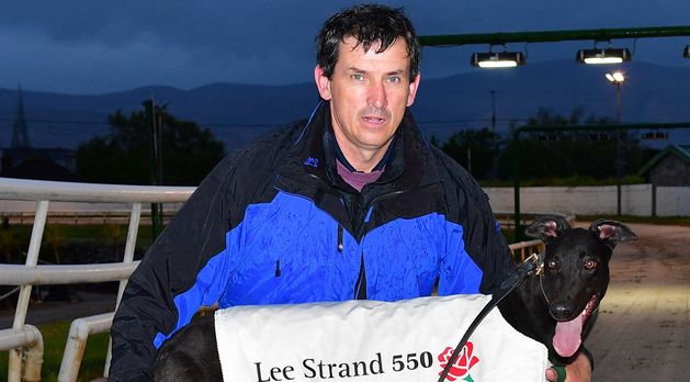 O'Rahilly family back on track with dose of Realism | Irish Independent