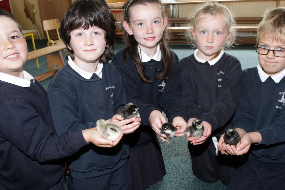 Around the Districts | Irish Independent