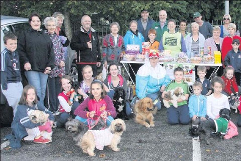Annual walk realises almost €1,500 for Irish Guide Dogs | Irish Independent