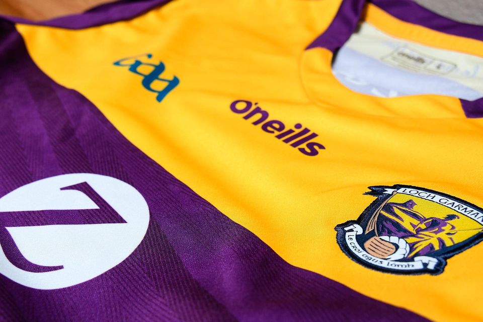Wexford GAA issue 96-week ban for assault on referee | Irish Independent