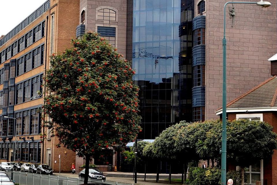 Nama official suggested Project Eagle deal could proceed despite fixer ...
