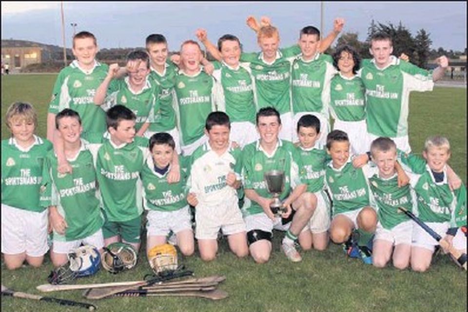 Ballygarrett boys hold on | Irish Independent