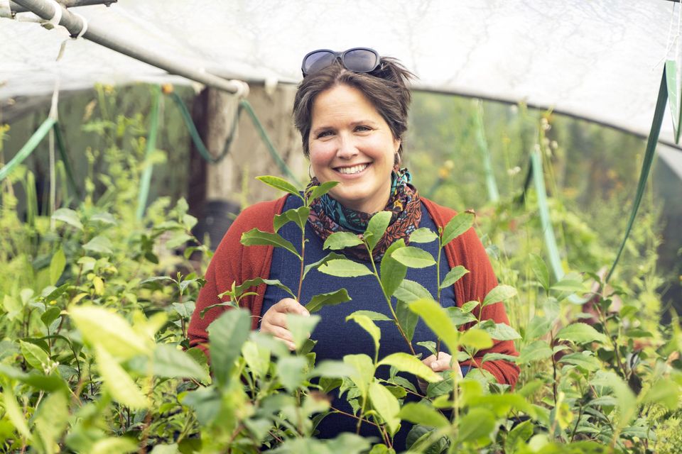 Irish Model Growing Farm Celebrating Farm To School Month Ft. Alexis