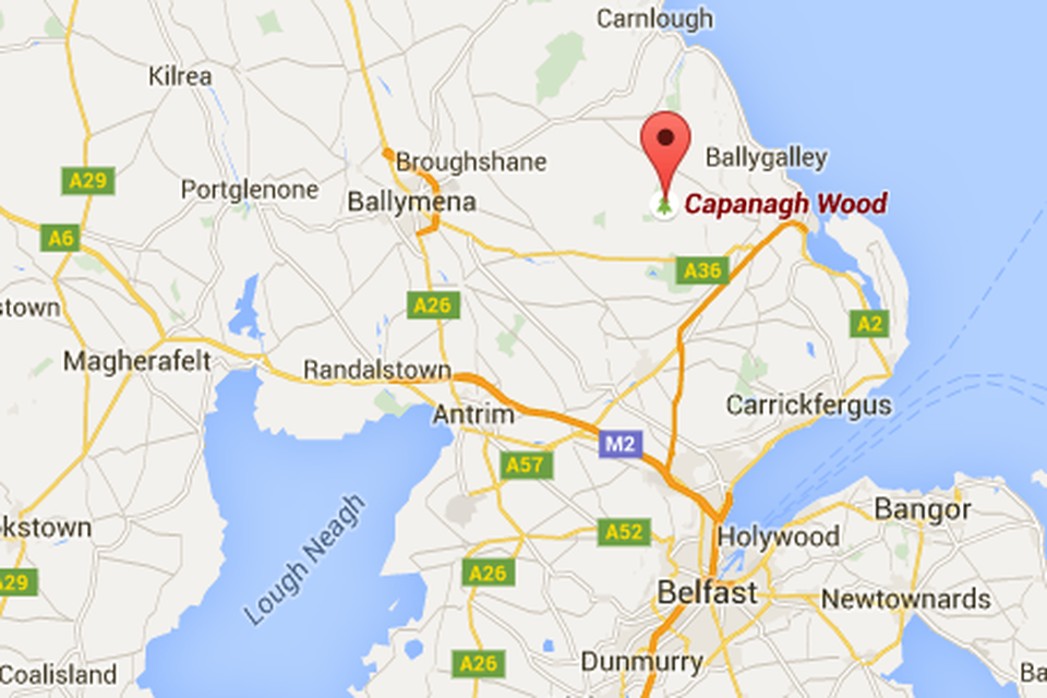 Explosive parts found in 'terrorist hide' in Irish woodland | Irish ...