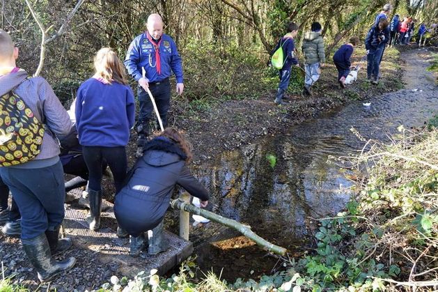Bid to launch new Wicklow scout group in Tinahely begins | Irish ...