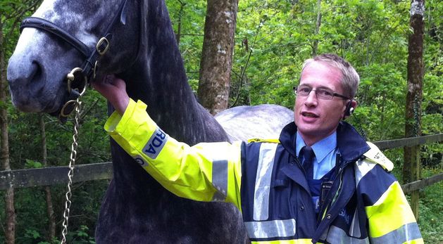 Garda James in the hunt for glory at Cheltenham | Irish Independent