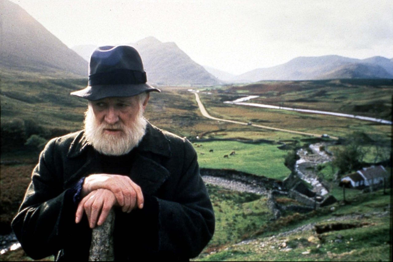 The murder that inspired Keane's 'The Field' | Irish Independent