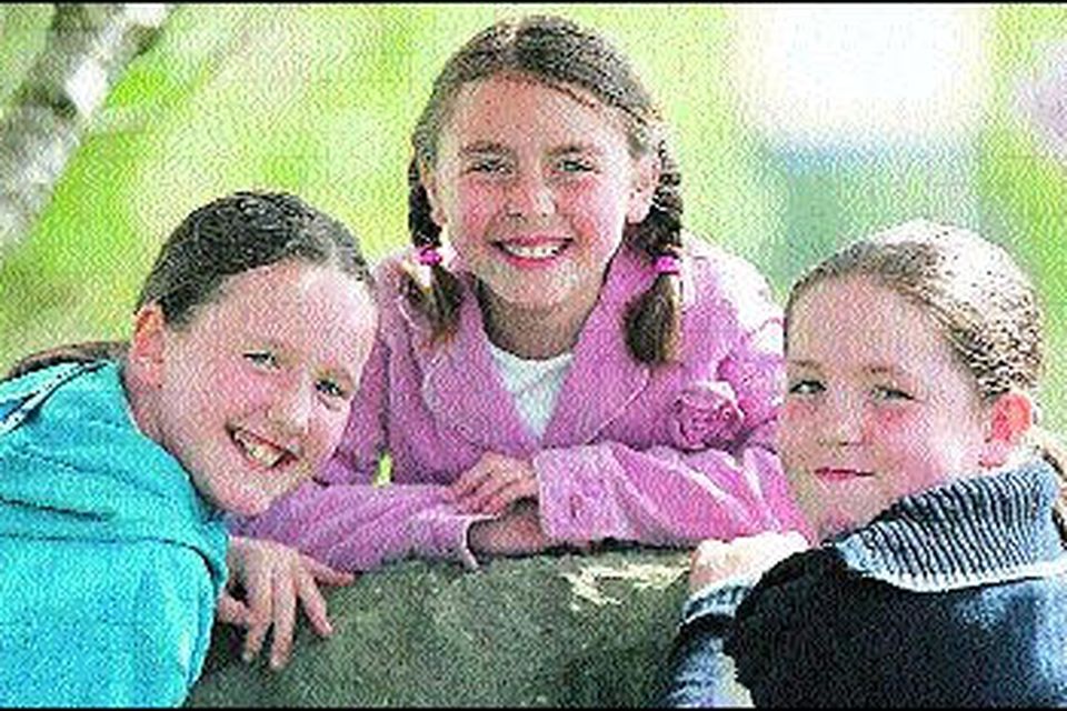 Music flows at the Fleadh by the Feale | Irish Independent