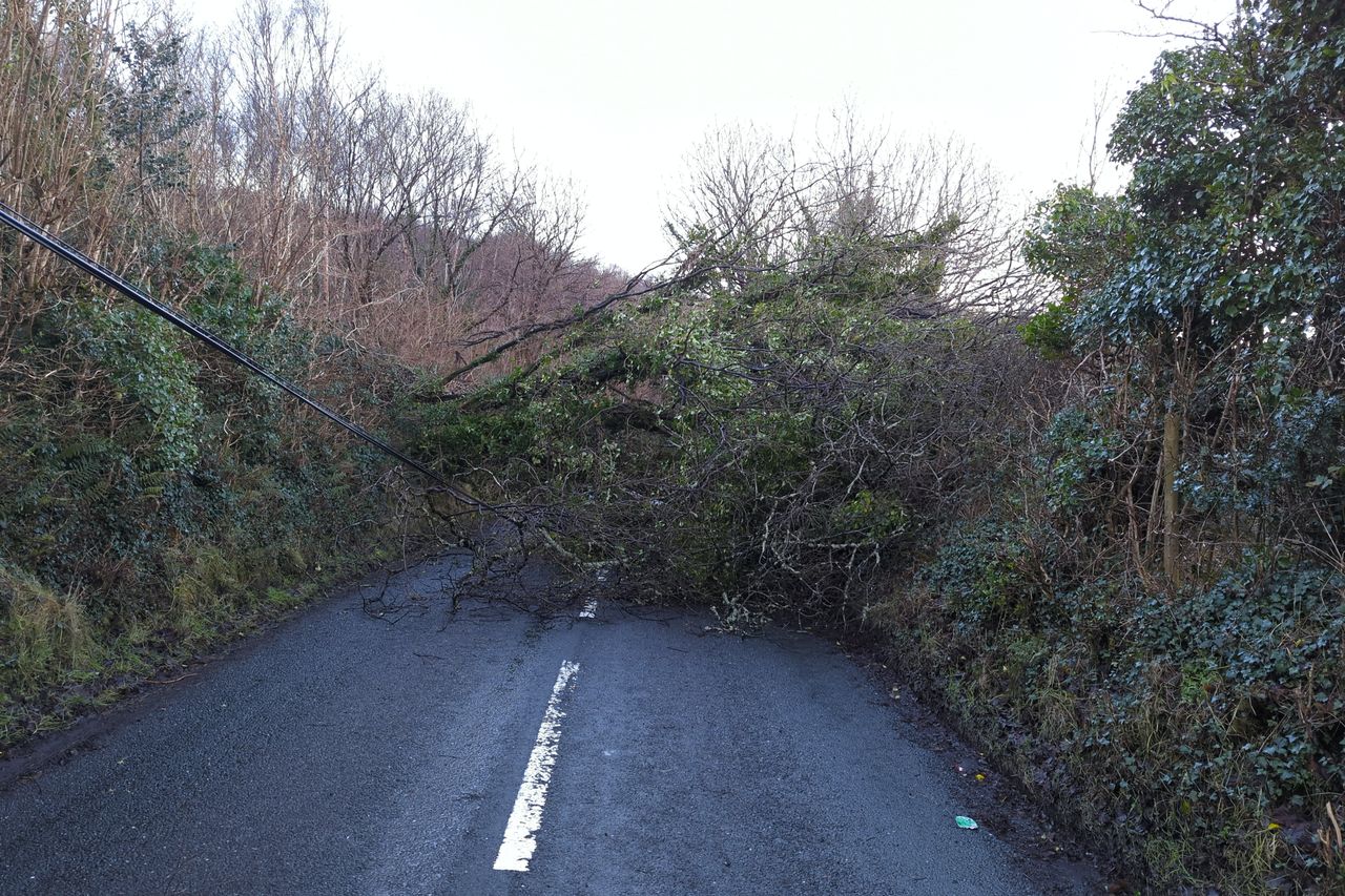 Pictures show the aftermath of Storm Isha in Sligo as clean-up is ...