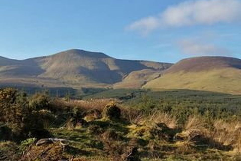 Glen of Aherlow to host the Winter Walking Festival in Tipperary ...