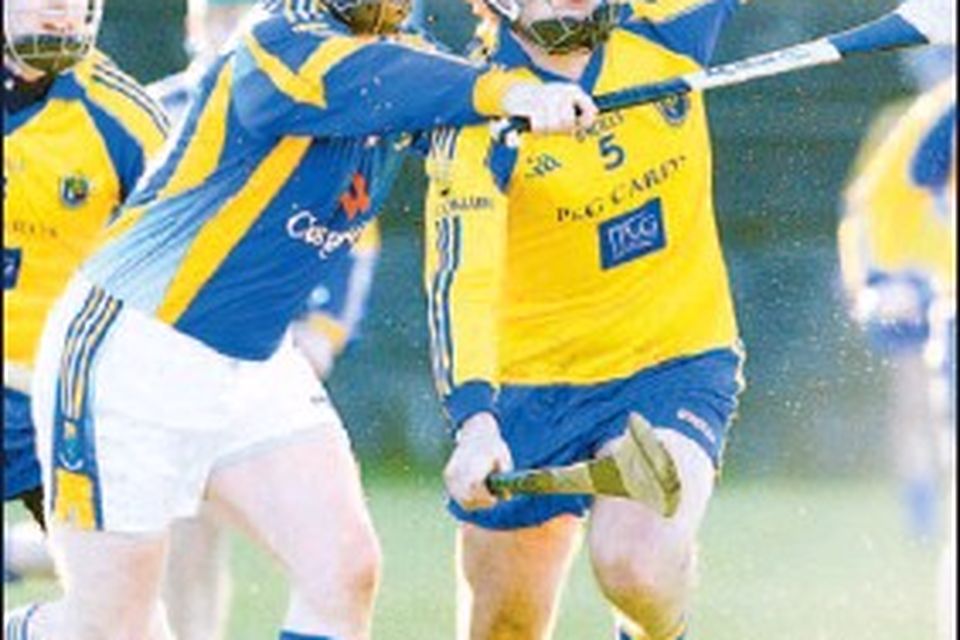 GRASSROOTS | Irish Independent
