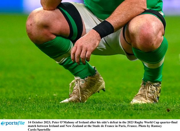 Julia Molony: Cavemen no more – Irish rugby marches decisively toward ...