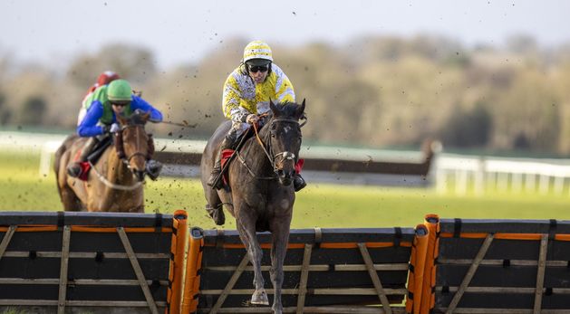 Doyle brothers hit headlines with successful afternoon on both sides of ...