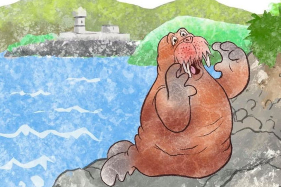Wally Walrus and Muireann star in new children's book | Irish Independent