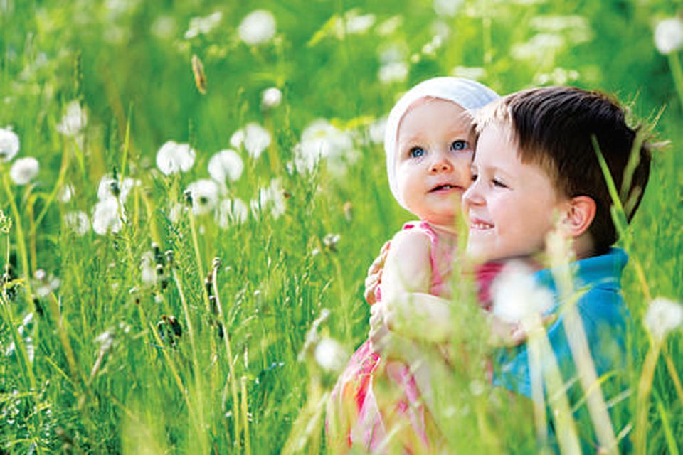 Mind & Meaning: Nature - the perfect analogy for life | Irish Independent