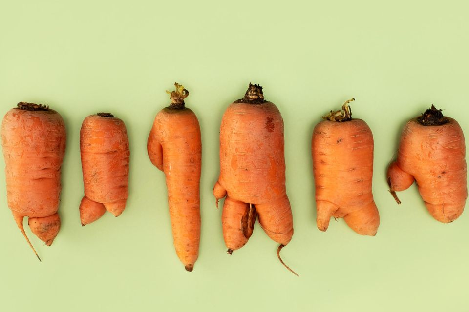 Andrew Bergin: Straight carrots are not any tastier than crooked ones ...