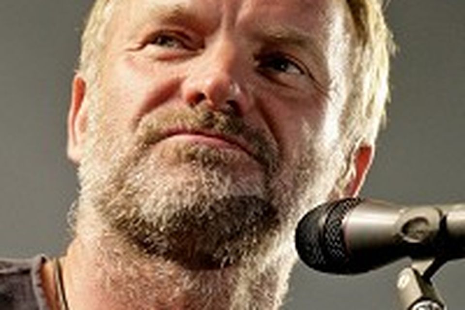 Sting makes Amazon dam project plea | Irish Independent