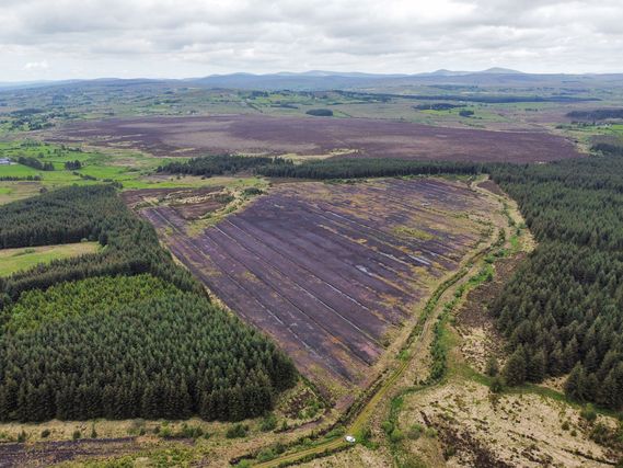 Co.Tyrone bog to be transformed in first-of-its-kind peatland ...