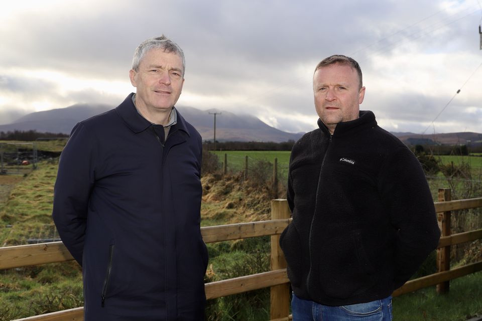 No funding sought for Kerry town bypass route – TII | Irish Independent