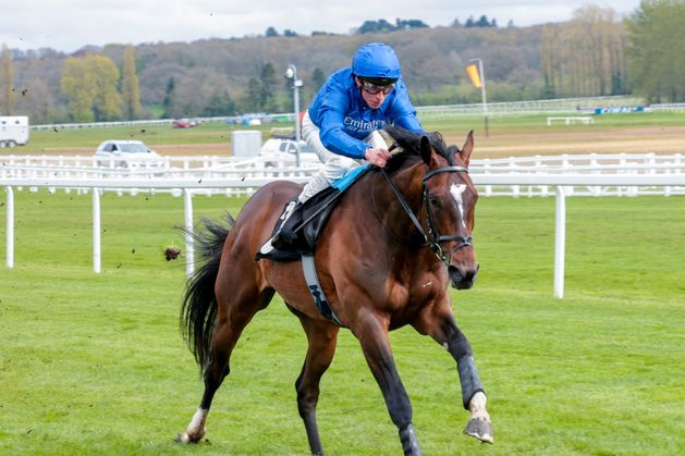 Wayne Bailey: Military Order has right profile to claim Derby victory ...