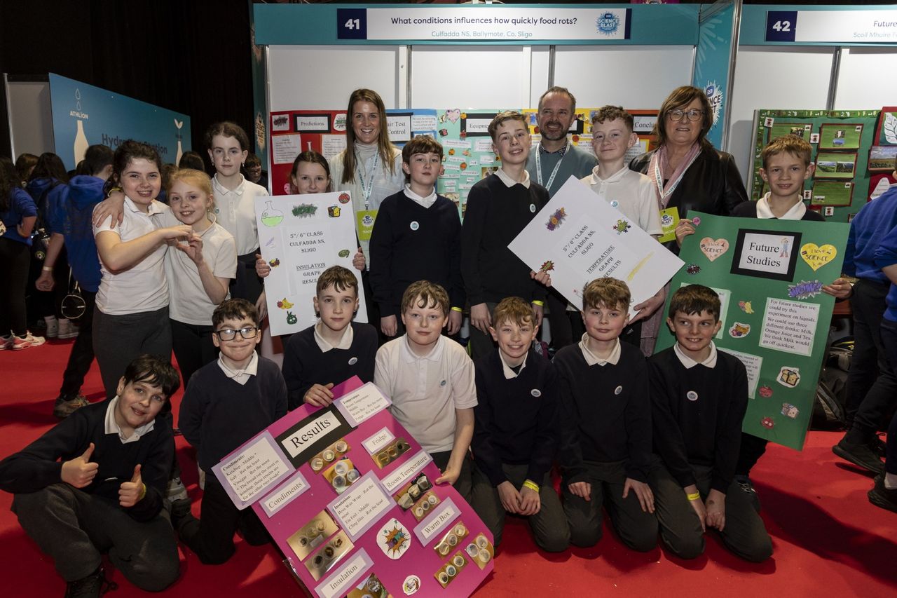 Pupils from two Sligo schools showcase their projects as ESB Science ...