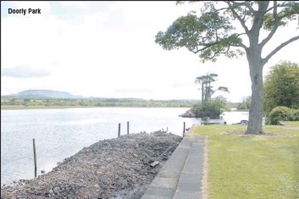 Long term plan needed for Doorly Park woods | Independent.ie