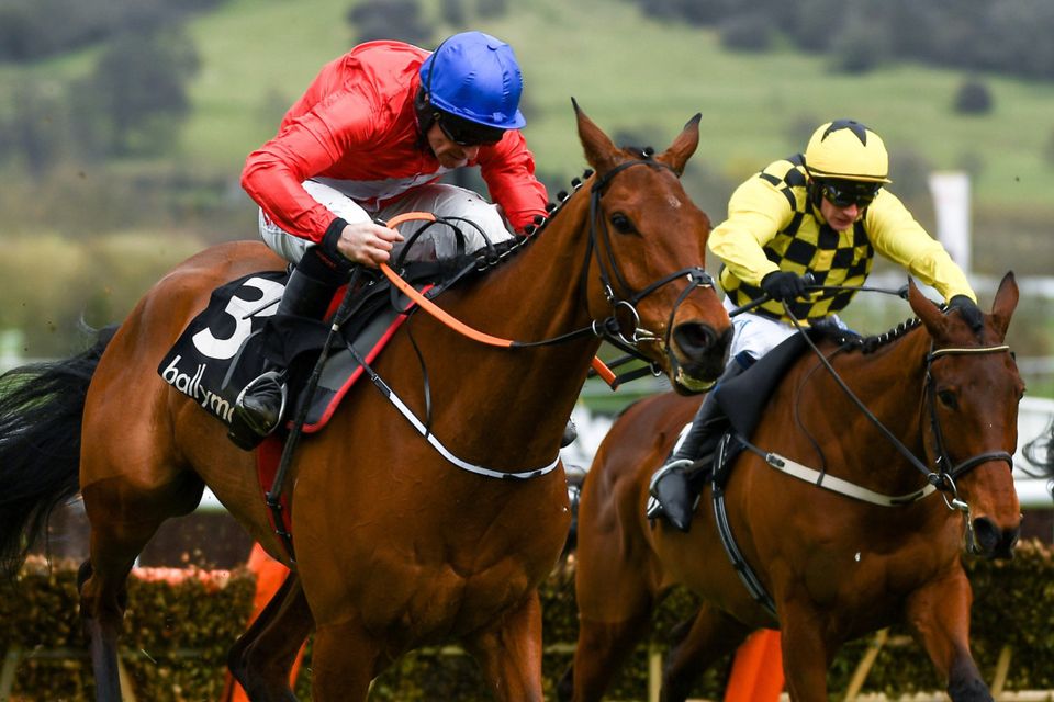 Remarkable local influence: Wexford’s key role as a National Hunt ...