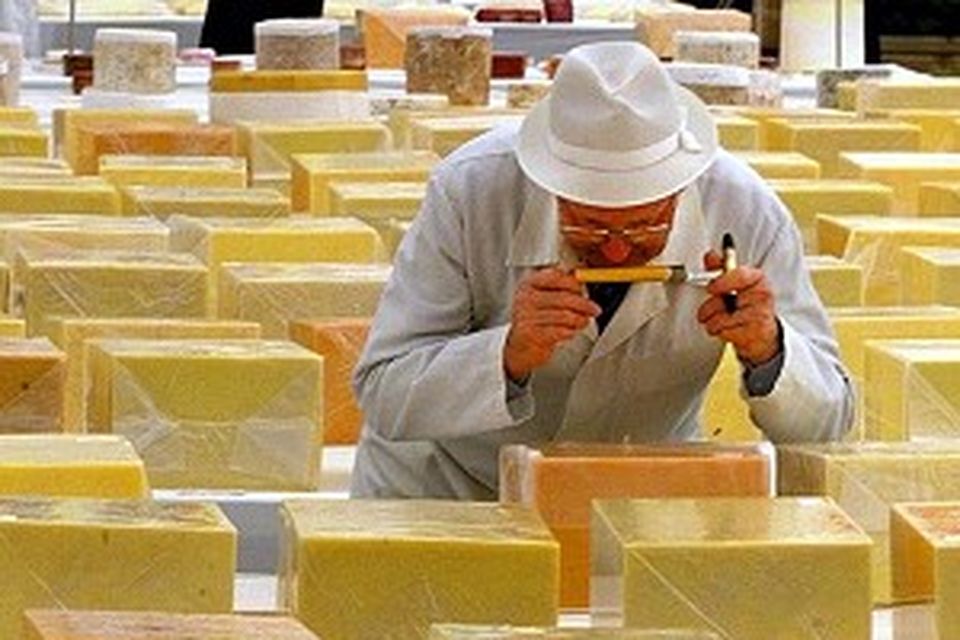 New cheese 'could improve diets' | Independent.ie