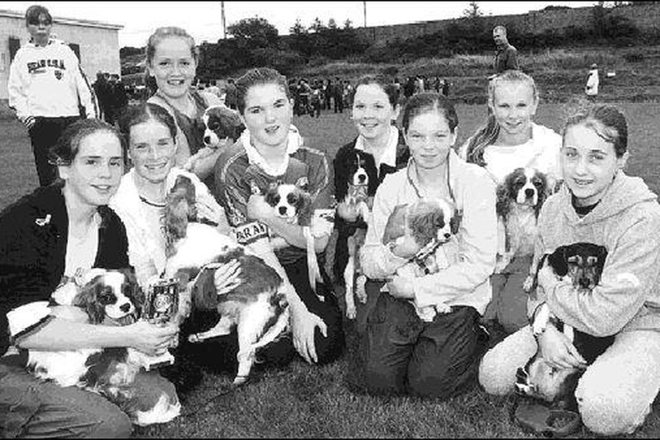 Lispole celebration spans old and new in vibrant West Kerry community ...