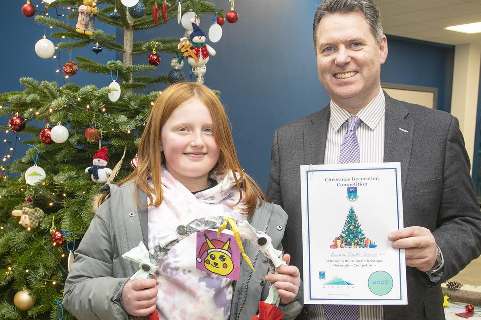 Winners announced for Wicklow County Council children’s recycled ...