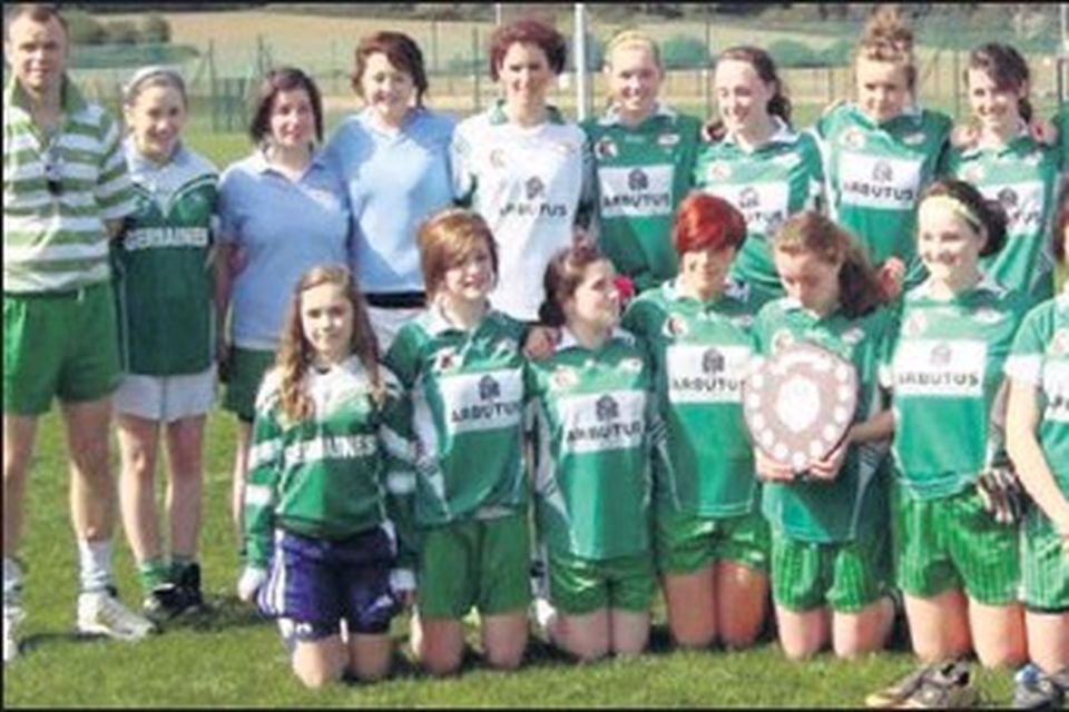 Big wins for Baltinglass and Carnew in schools contests | Independent.ie