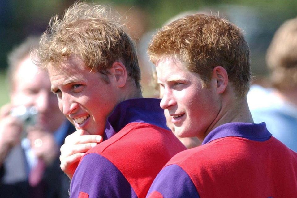 The Crown seeks young actors to play William and Harry in final series ...