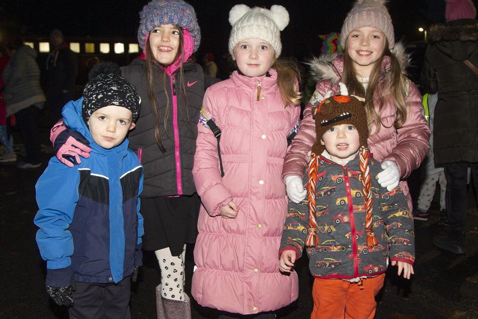 Pictures of a Candlelight Walk in Avondale Forest Park | Irish Independent