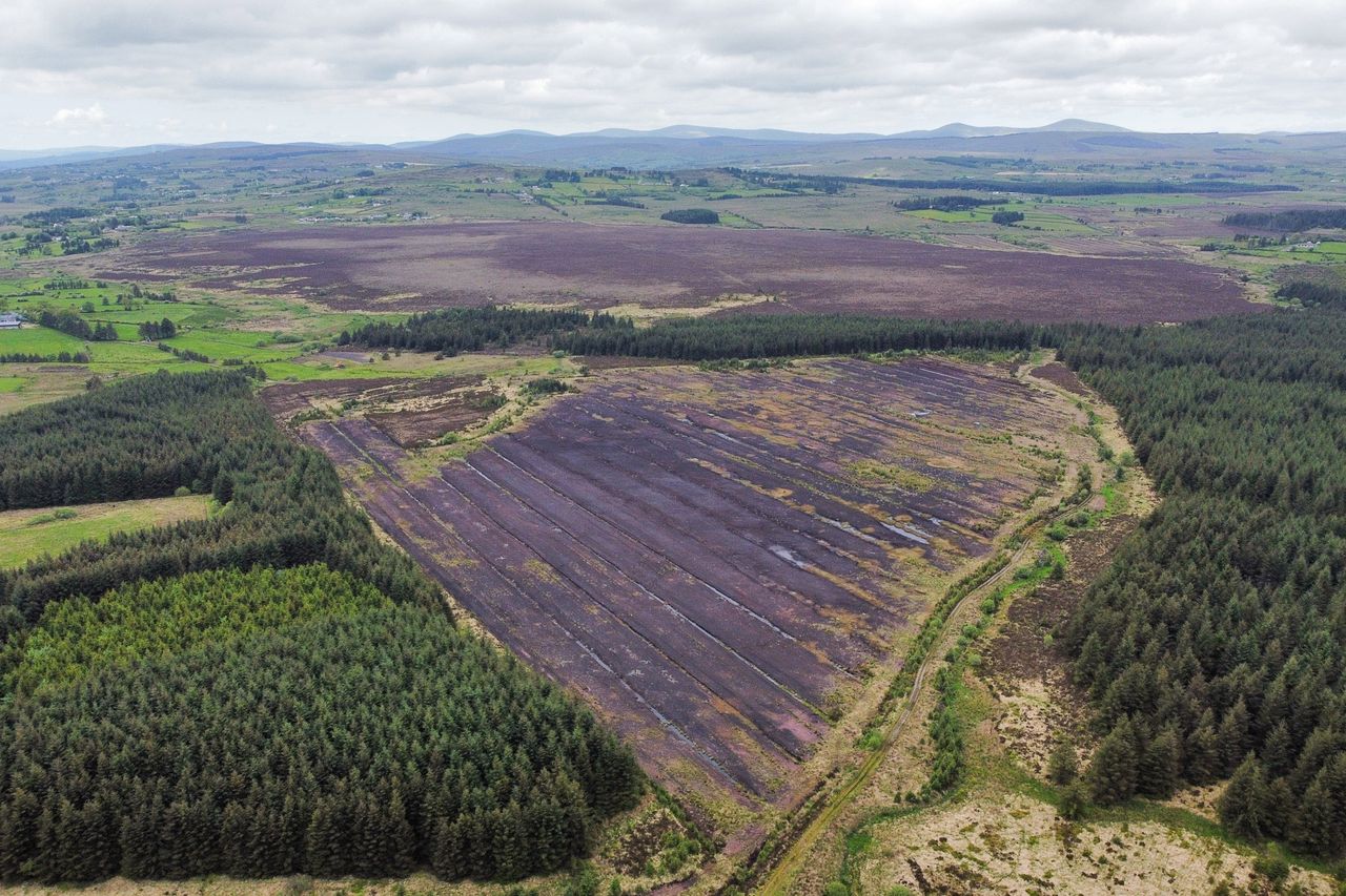 Co.Tyrone bog to be transformed in first-of-its-kind peatland ...